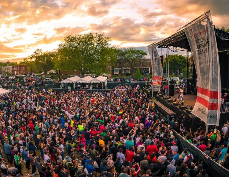 10 Marijuana Festivals in America You Must Visit - Oh Yeah Weed